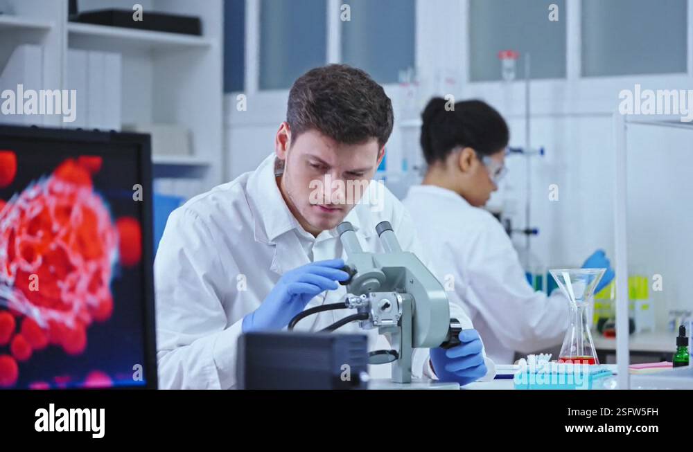 Lab technician examining sample tissue under microscope, studying ...