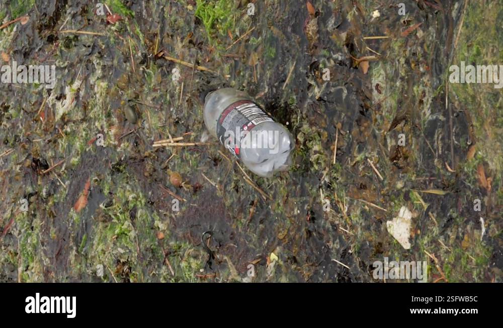 Vertical format of plastic container floating in polluted water ...