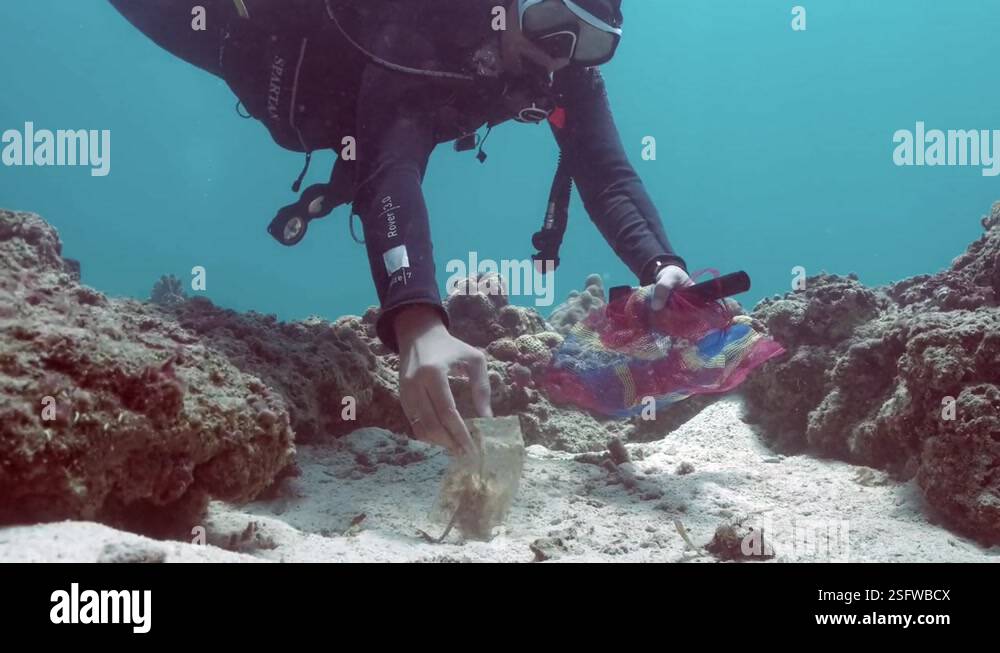 Scuba Diver Picking Up Plastic Trash On The Ocean Floor. Cleanup Dive ...