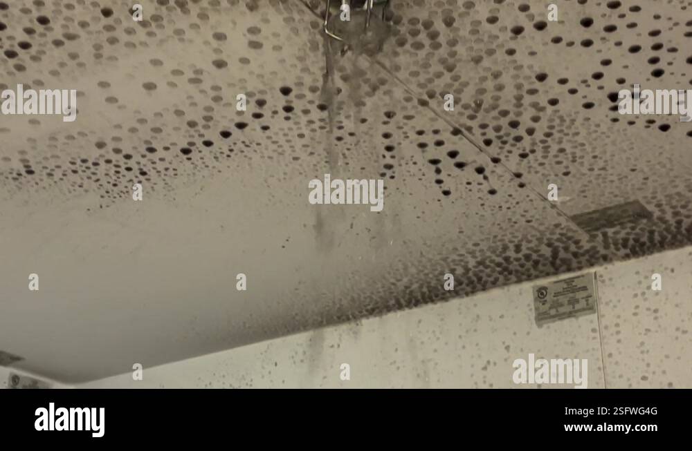 A leaking busted ceiling fire sprinkler system in a grocery store ...