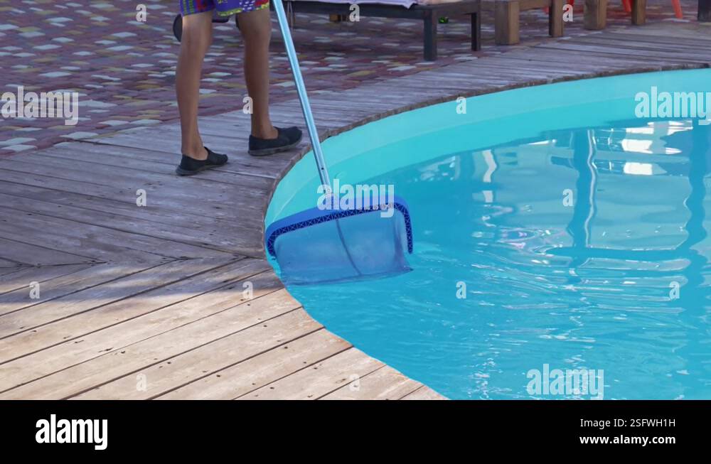 a man with a net for cleaning the pool collects garbage and insects ...