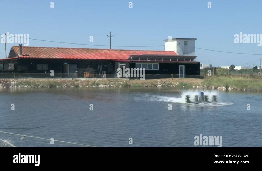 Fish pond with a moving water aerator and the warehouse in the ...