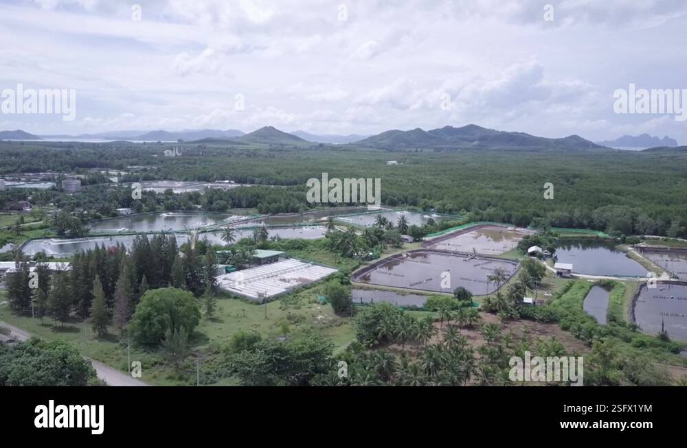 Wet Rice Paddy Fields And Vegetable Plantation In Rural Farmland In ...
