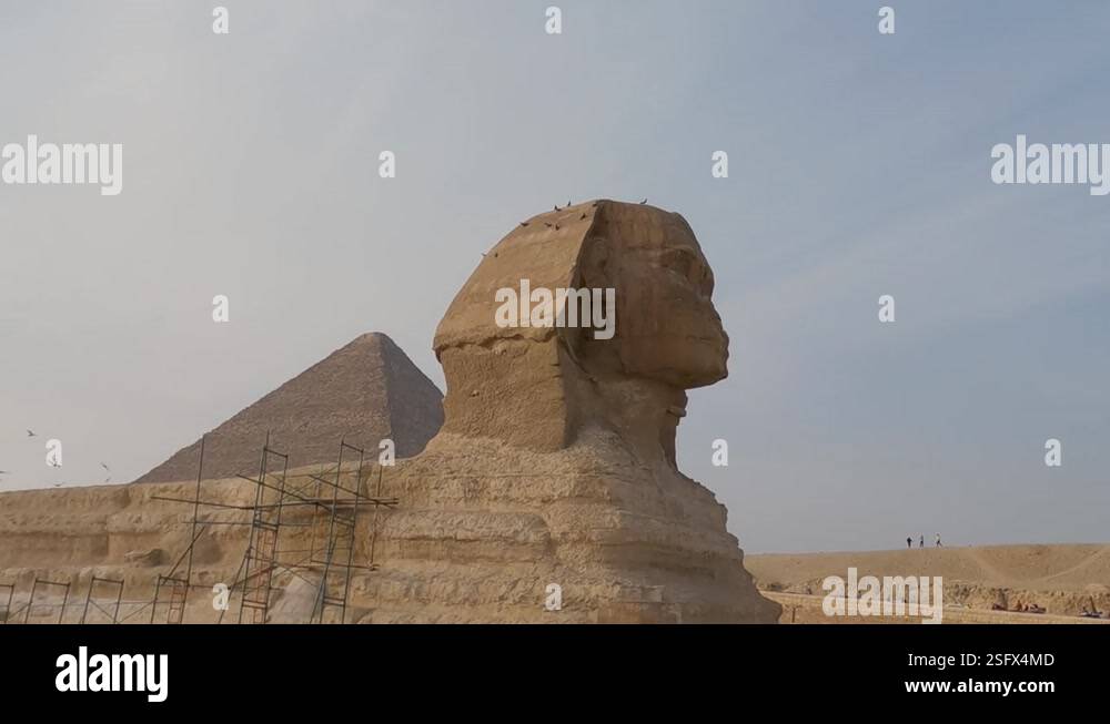 Flock of birds take off of The Great Sphinx of Giza, Pyramid complex in ...