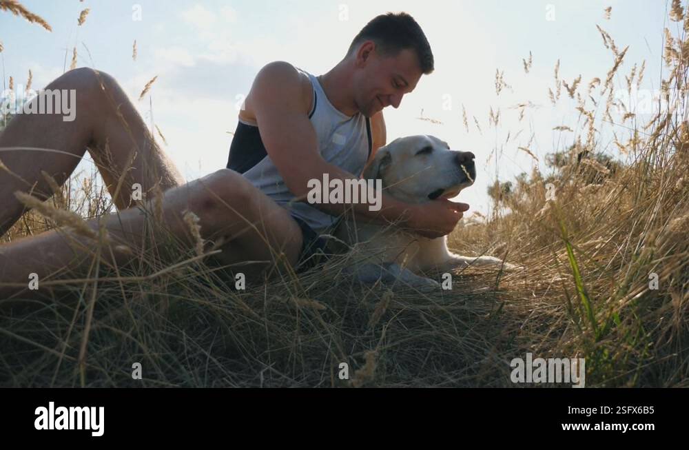 Young man hugging and kissing his labrador in meadow. Guy spends time ...