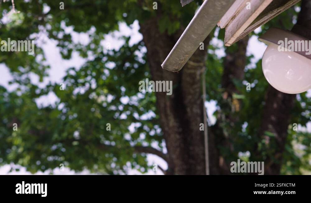 Slow motion rain drops dripping off the last of the rain after a ...