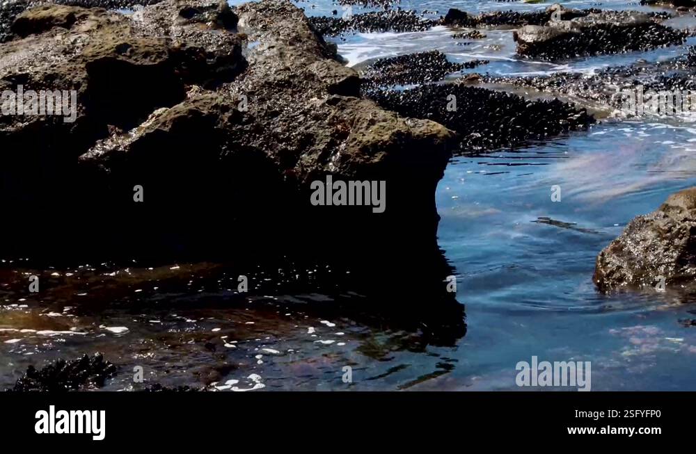 Tidal pools with ebbing tide in the Pacific Northwest Stock Video ...