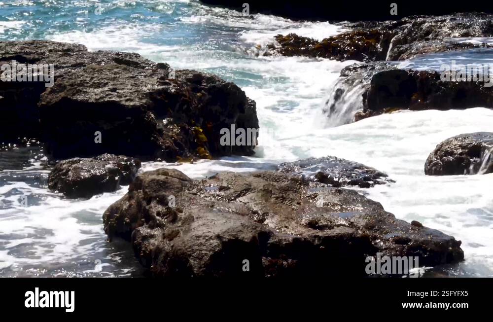 Refreshing cold seas splash on rugged rocks in the Pacific Northwest Stock Video Footage - Alamy