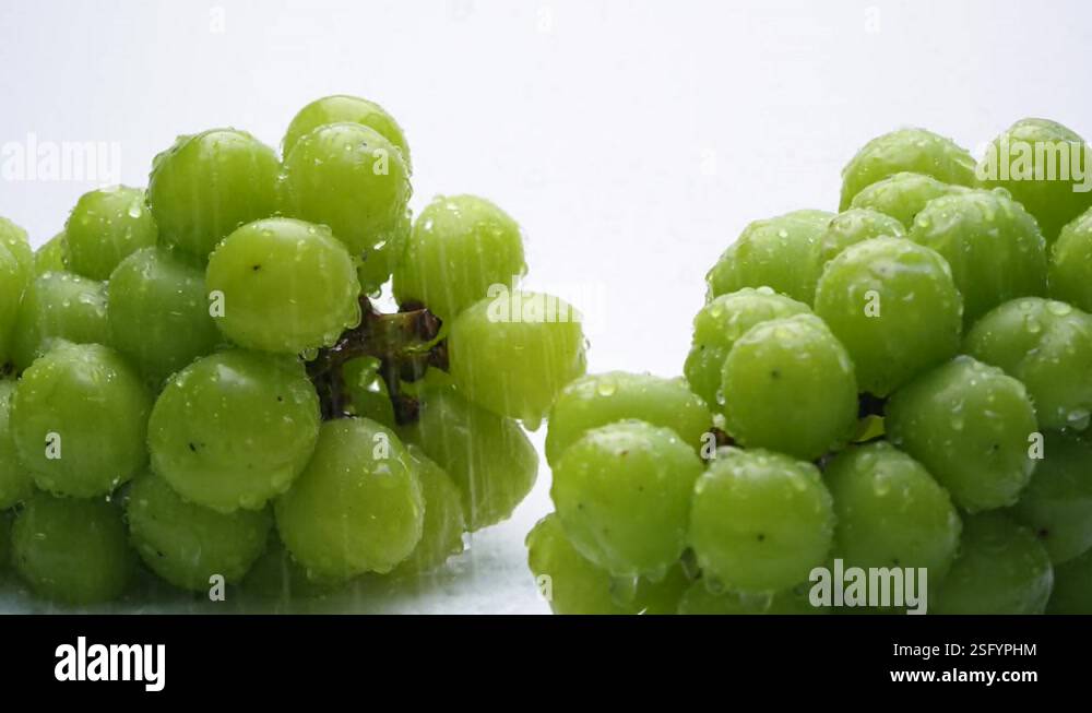 Muscat Grapes take a shower. White background image shot in 4K slow ...
