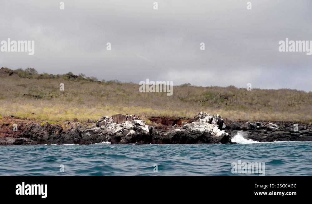 POV Boat Ride To Punta Suarez In The Galapagos With Undulating Waves ...