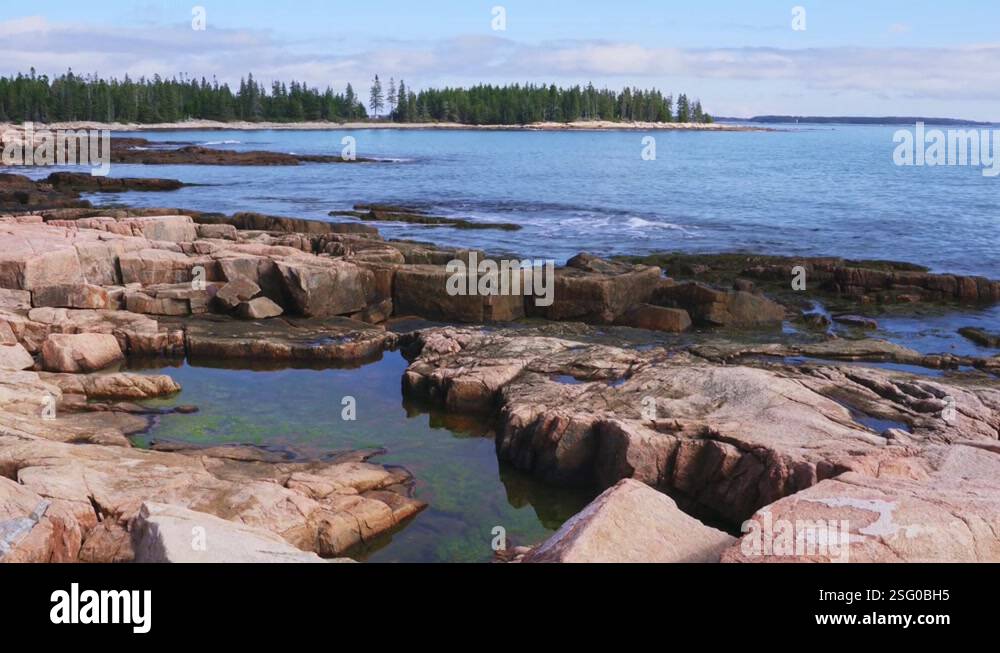 Acadia seashore Stock Video Footage - Alamy