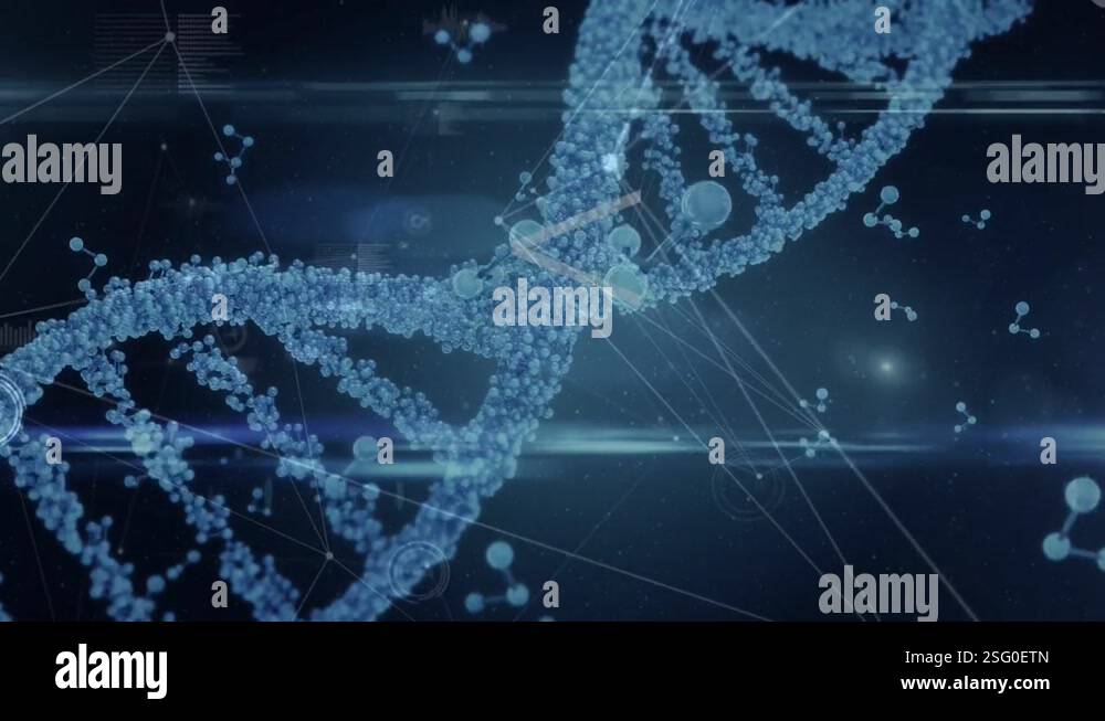 Digital animation of dna and molecular structures over network of connections on Stock Video ...