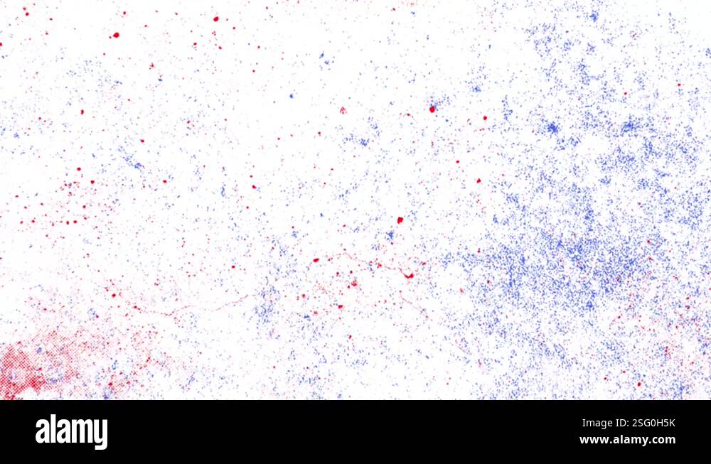 Animated texture of blue and red dust on white background Stock Video ...