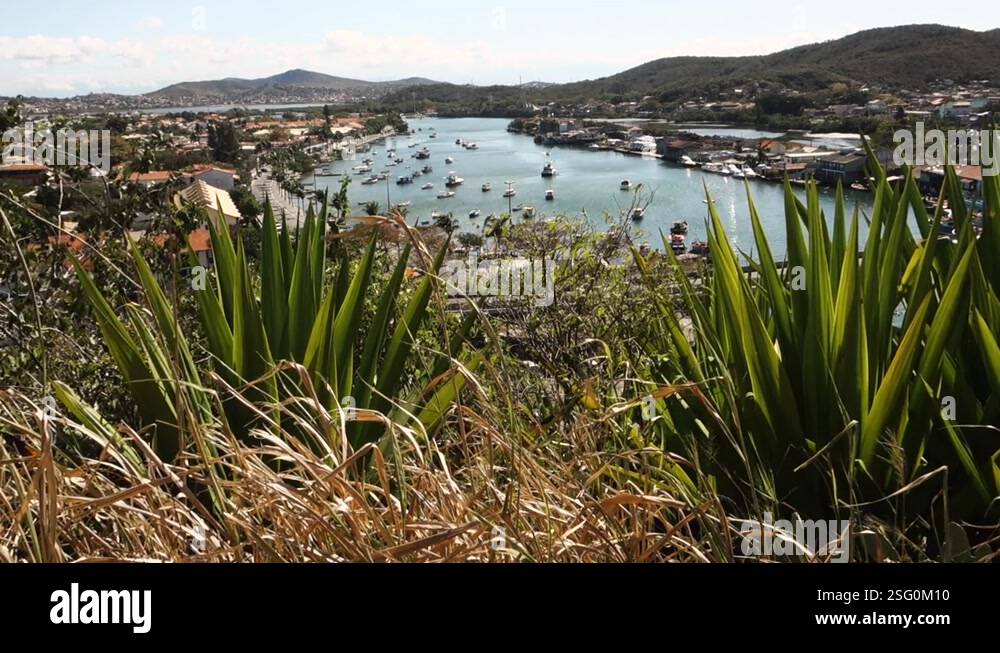 bushes on top of the hill, overlooking the city of Cabo Frio in Rio de ...