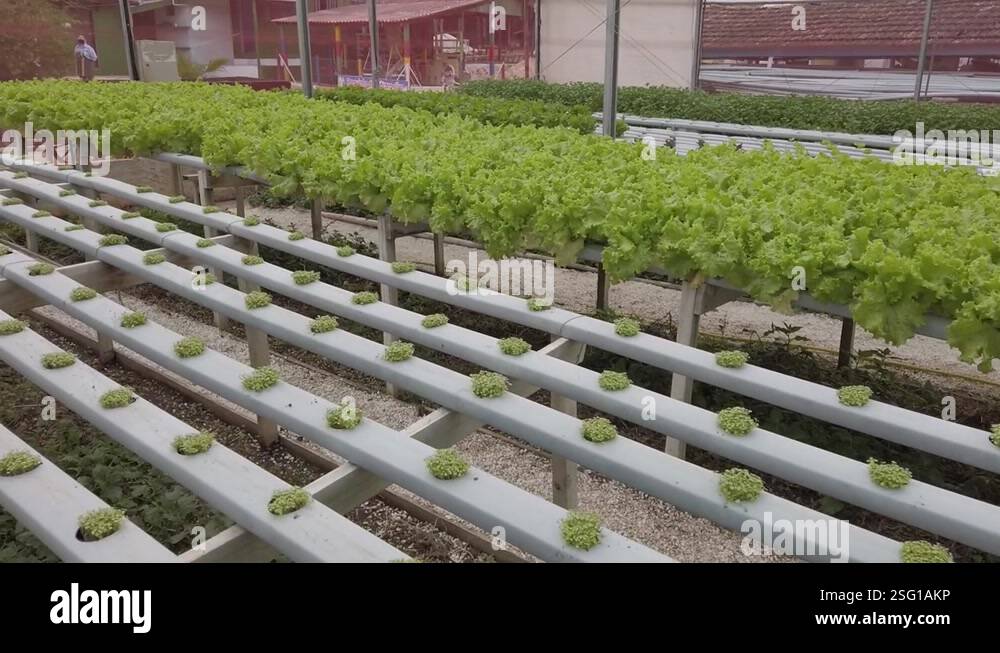 Modern farm techniques Stock Videos & Footage - HD and 4K Video Clips ...