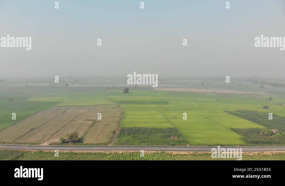 Green paddy field for rice plant with smoke from straw or tree burning ...