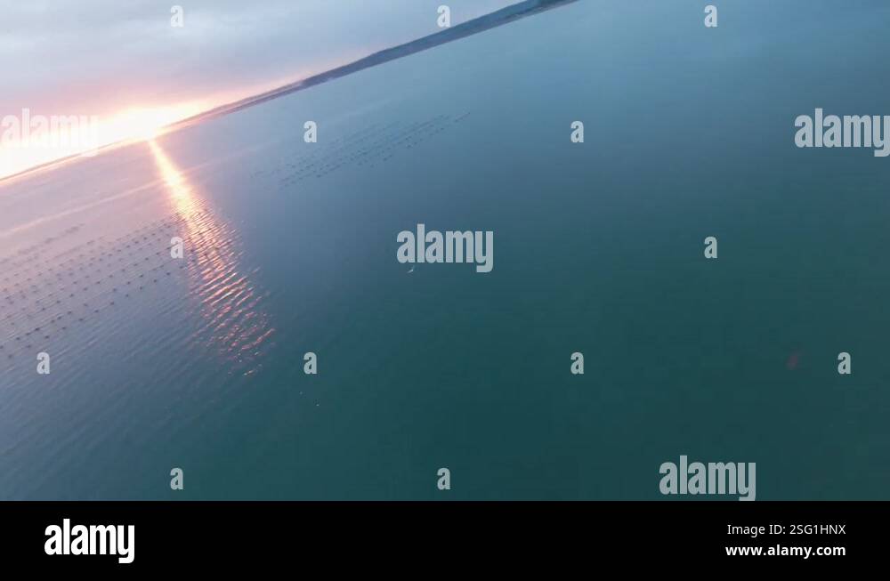 Following the flight of a seagull with an FPV drone in the Pacific ...