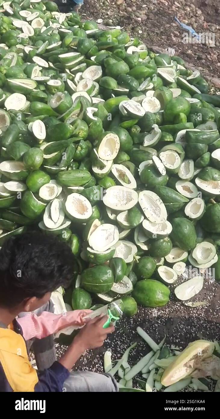 Raw Papaya Surprising Health Benefits - Cutting Process Stock Video ...