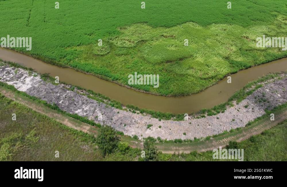 Remains of historic rice fields in Santee river delta Georgetown SC ...