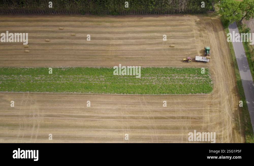 Farm Work, Tractor in Agricultural Farmland Field Working Carry Hay ...