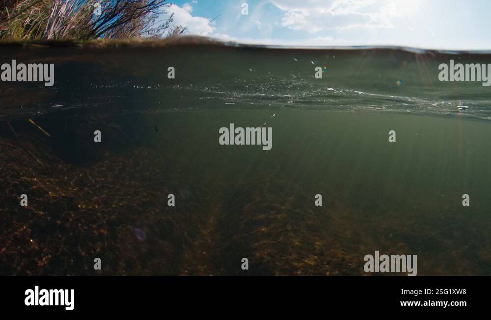 Rapid river split. Splitted view of the clean rapid river flowing in ...