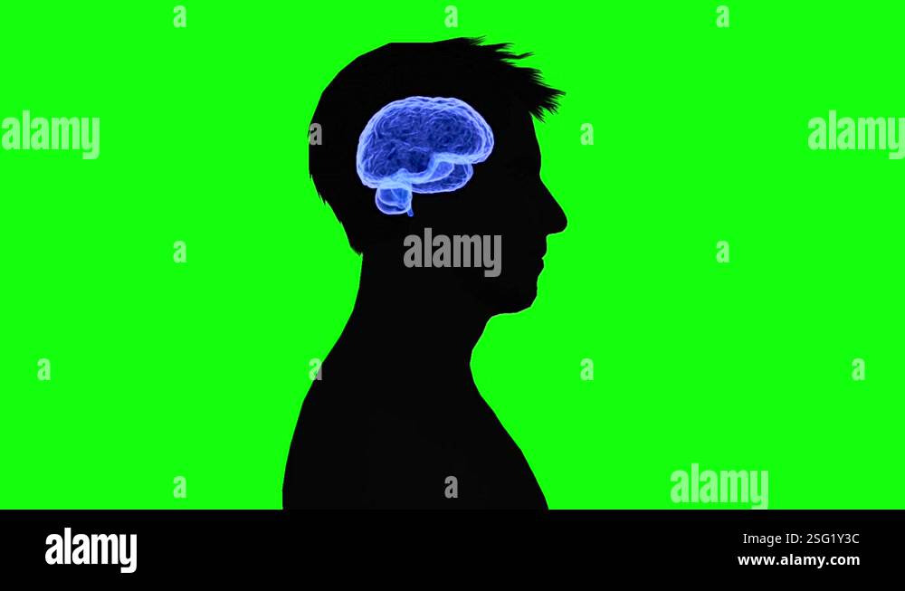 Man profile silhouette pulsating brain green screen Stock Video Footage ...