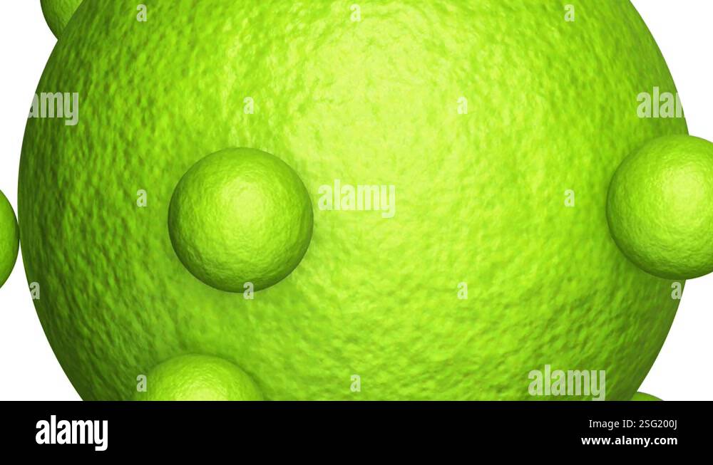 Lime peel sphere with rolling small lime spheres looping 3D animation ...