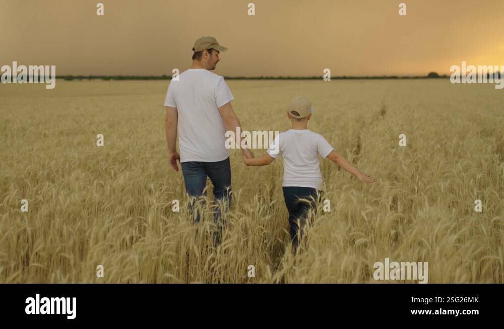 Farmer father works in wheat field with his little son. Happy family ...