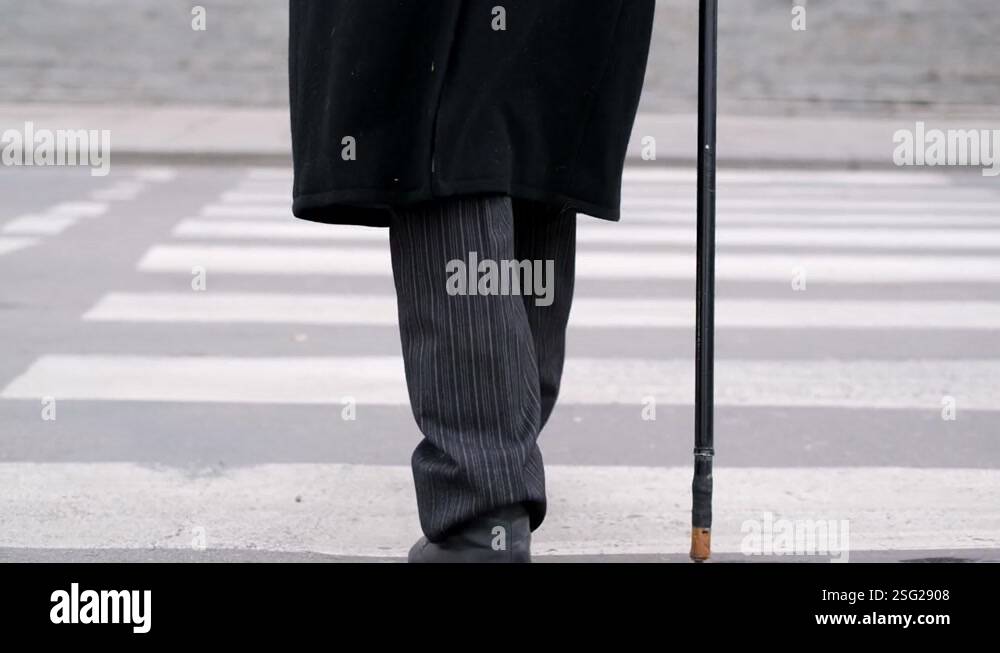 An old retiree crosses a crosswalk. An old man walks around the city ...