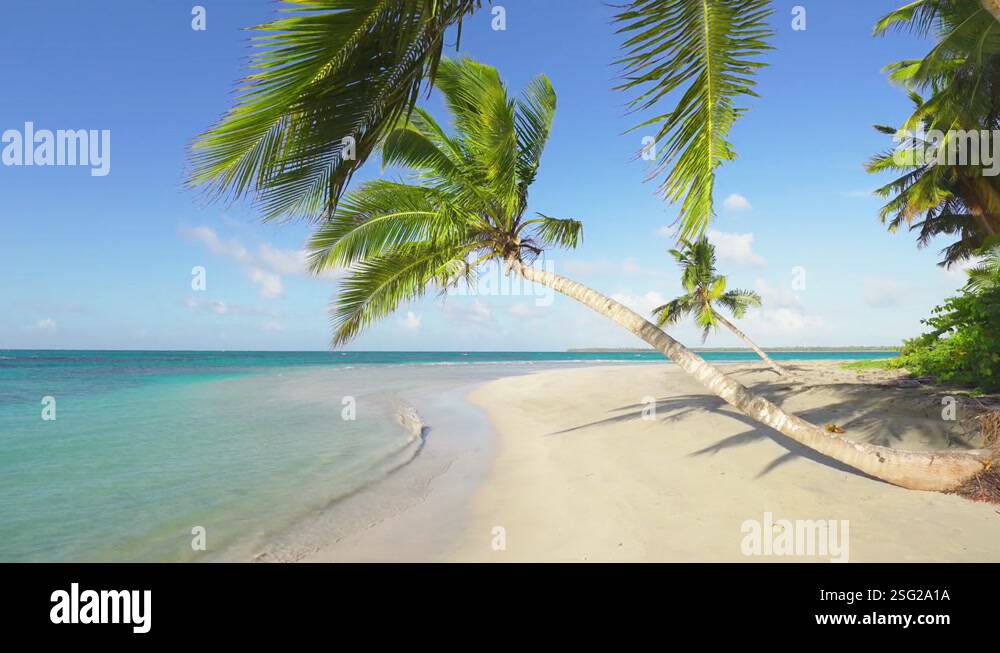 Maldives Bounty palm trees on a tropical island in the blue ocean Stock ...