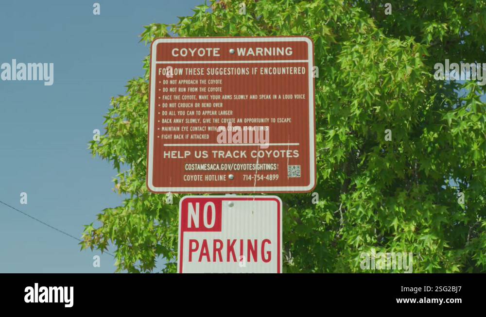 Wolf warning Stock Videos & Footage - HD and 4K Video Clips - Alamy