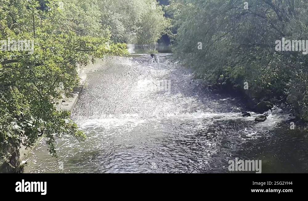 Broad river water Stock Videos & Footage - HD and 4K Video Clips - Alamy