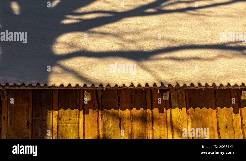 Timelapse of the tree shadow moving in timelapse as a result of the sun ...