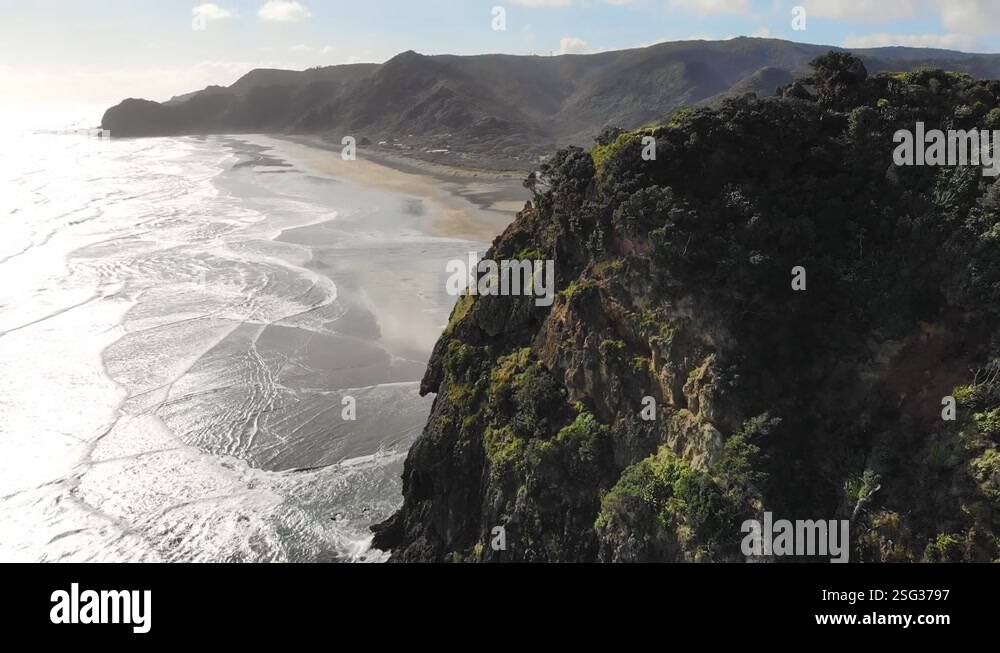 Epic drone view of Lion Rock and Piha beach, Waitakere Ranges Regional ...