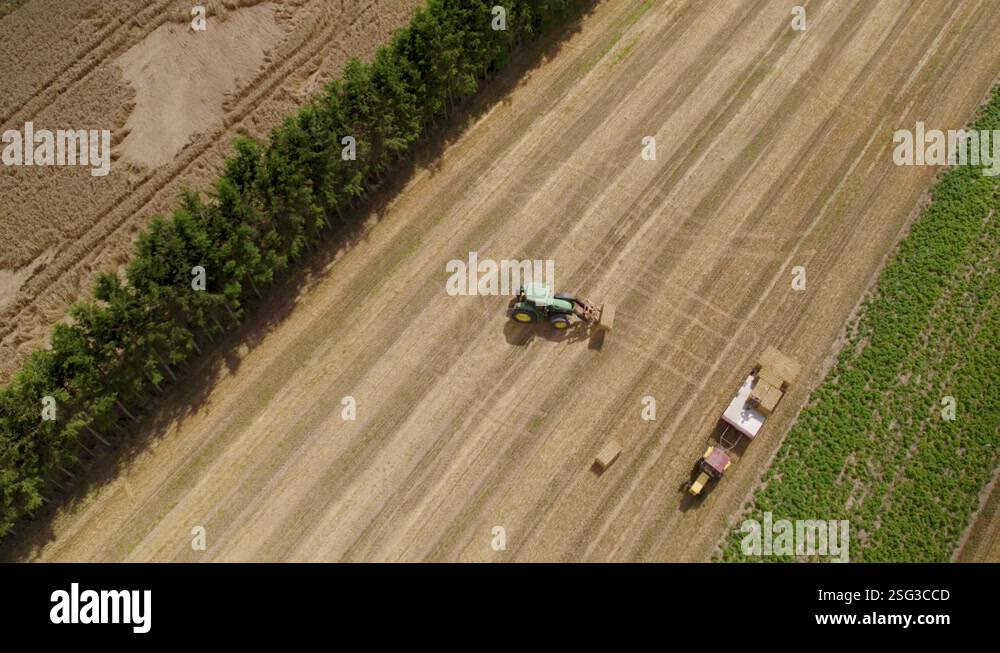 A Farm Tractor In A Field Carrying A Square Bale Of Hay Loading It To A ...