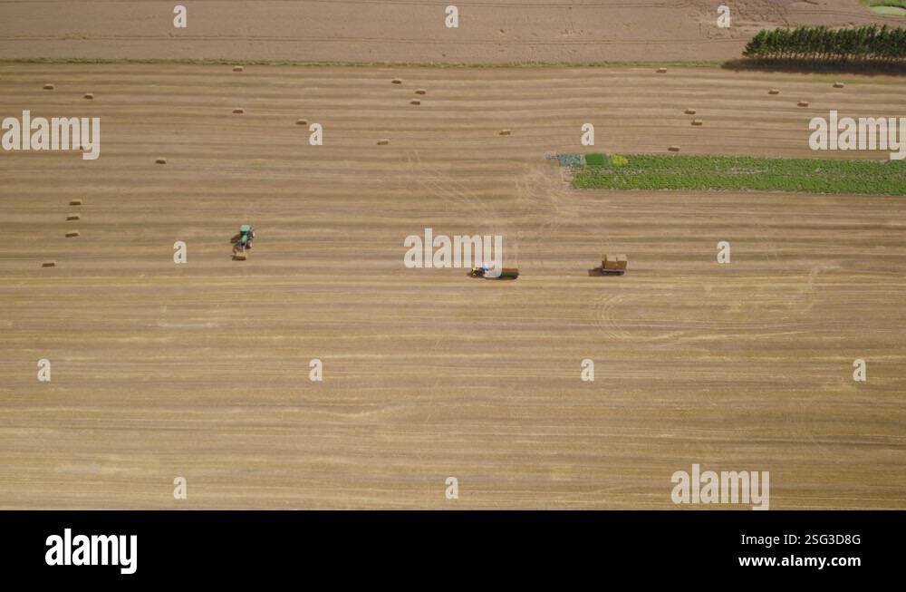 Farmers working on a hay field, loading up square bales in tractor ...