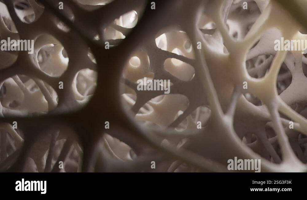 Cinematic shot revealing healthy bone tissue, realistic 3d animation ...