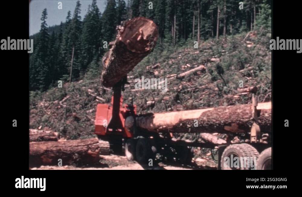 1970s: Crane picks up log and places it on back of truck. Man chops ...