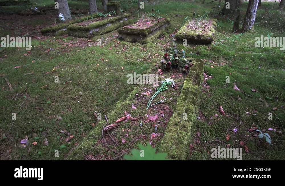 Nazi oppression Stock Videos & Footage - HD and 4K Video Clips - Alamy