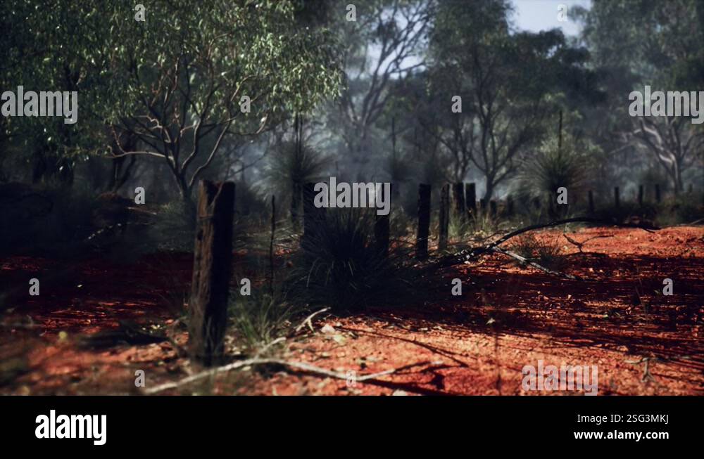 Dingoe fence in the Australian Outback Stock Video Footage - Alamy