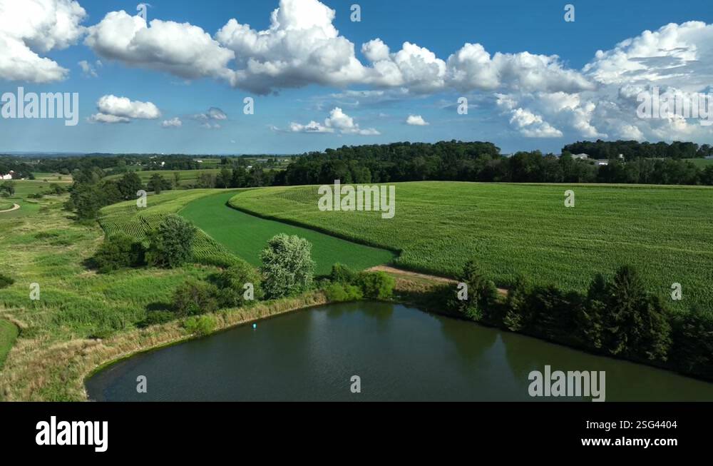 Clean water, rural farm fields in natural environment. Rising aerial in ...