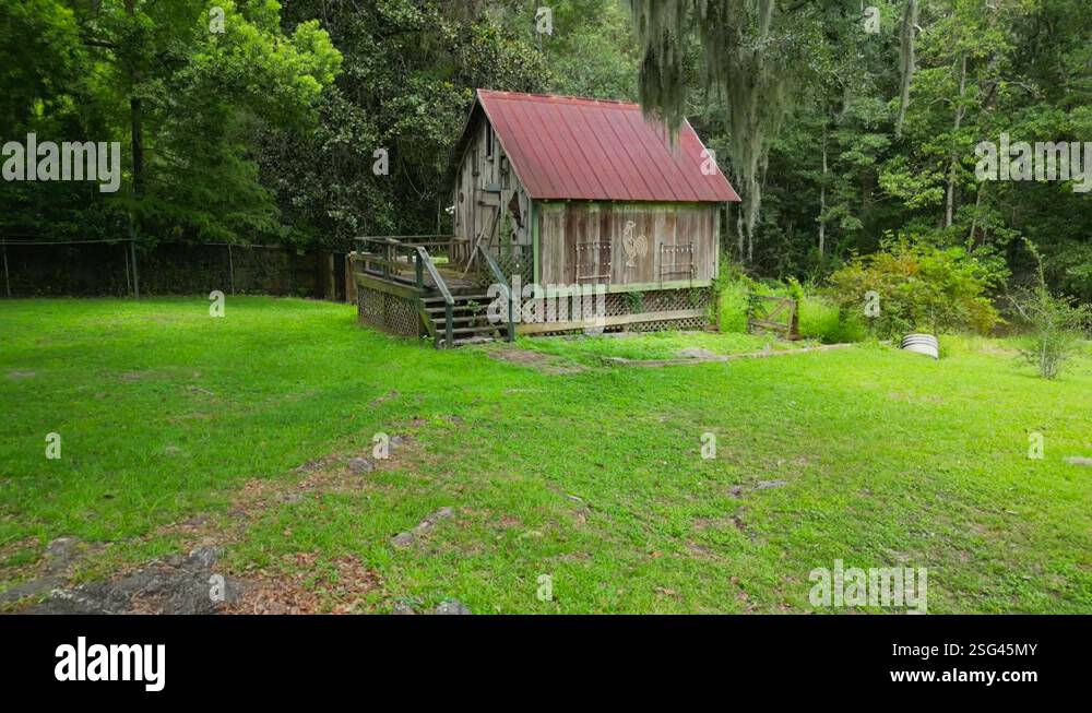 Aerial reveal of small barn, old oak tree with Spanish Moss and house ...