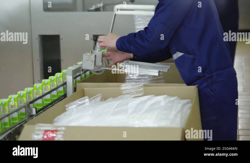 Worker At Conveyor Line Managing With Straws For Milk Cartons At Dairy ...