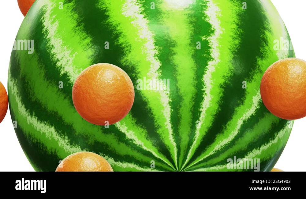 Watermelon sphere with rolling small orange spheres looping 3D ...