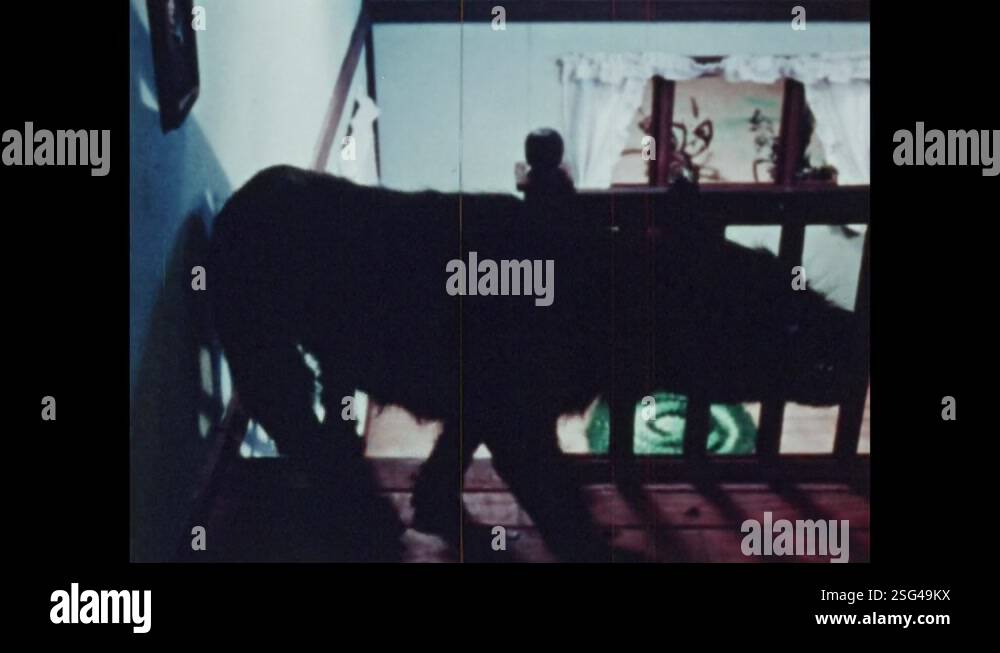 1940s: Stop-motion puppet animation- Man with rifle turns from window ...