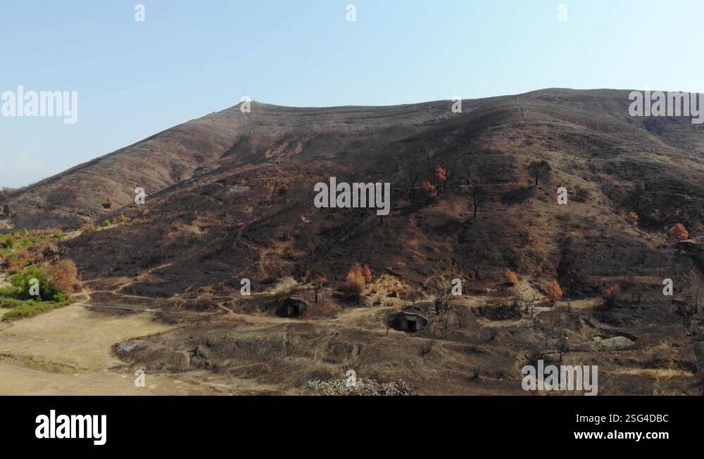 Deserted mountain after the fire with burned trees and grass covered in ...