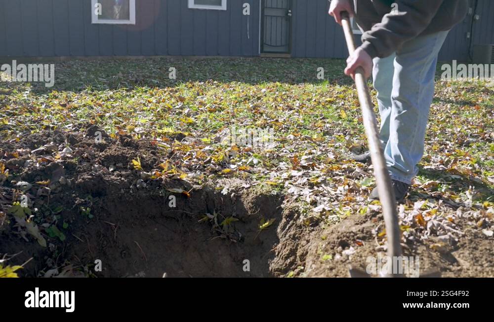 Man bury something in his backyard. Suspicious activity. Sunny autumn ...