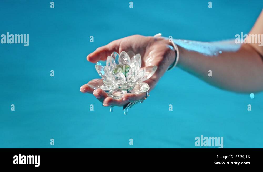 Woman holding fragile lotus flower. Clean water drops are dripping from ...