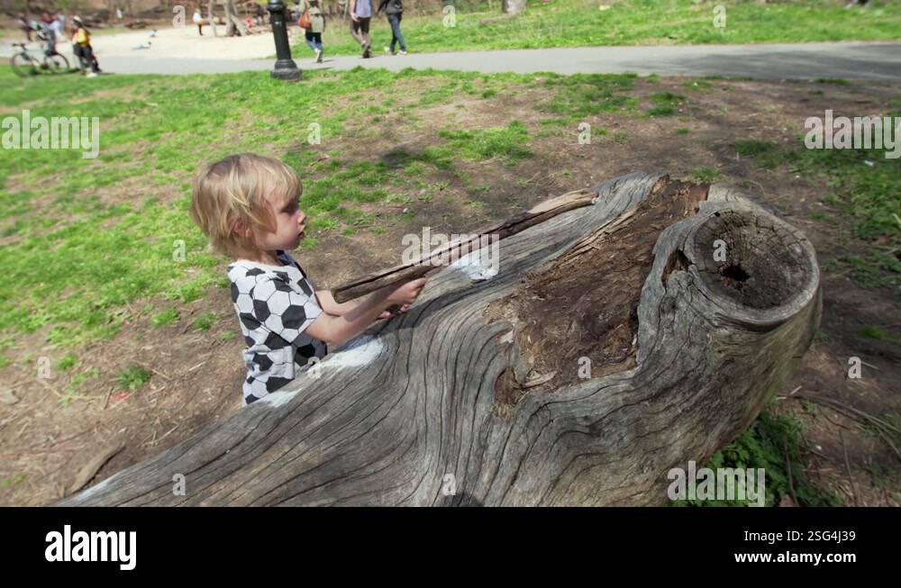 A 5 years old caucasian boy bumps big log with a branch which looks ...