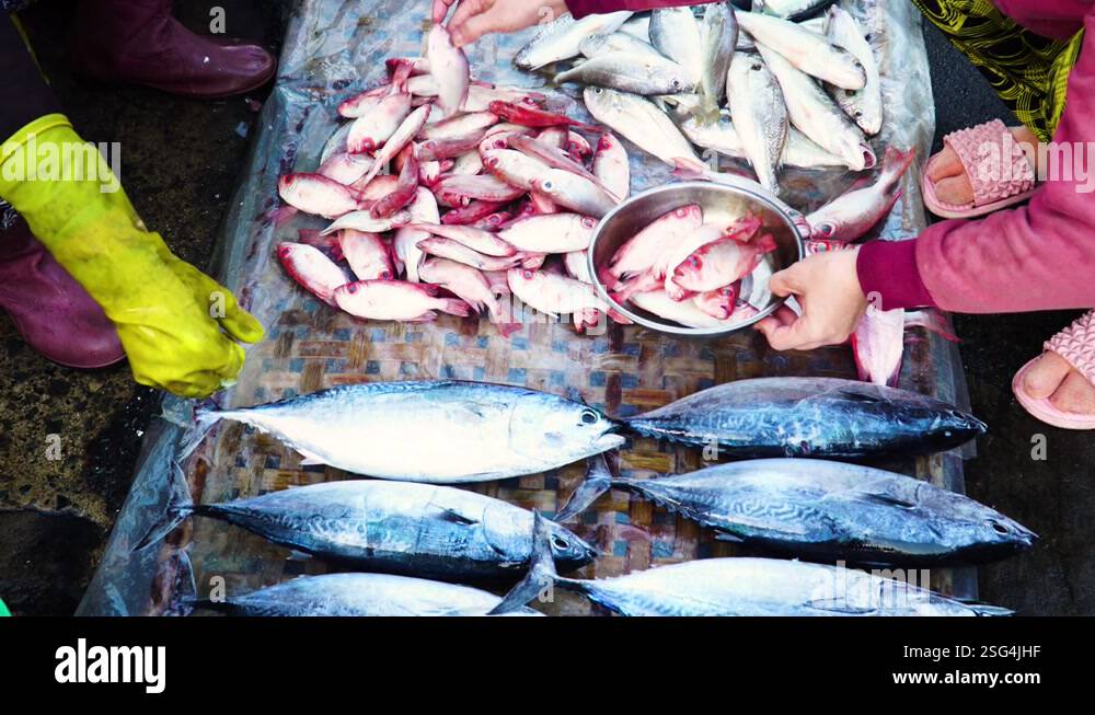 Overview of a local customer picking out the best fish from a roadside ...